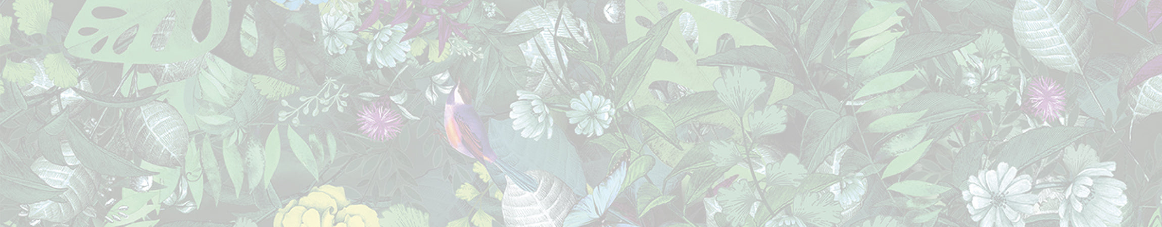 Campaigns – Underberg Jewelry